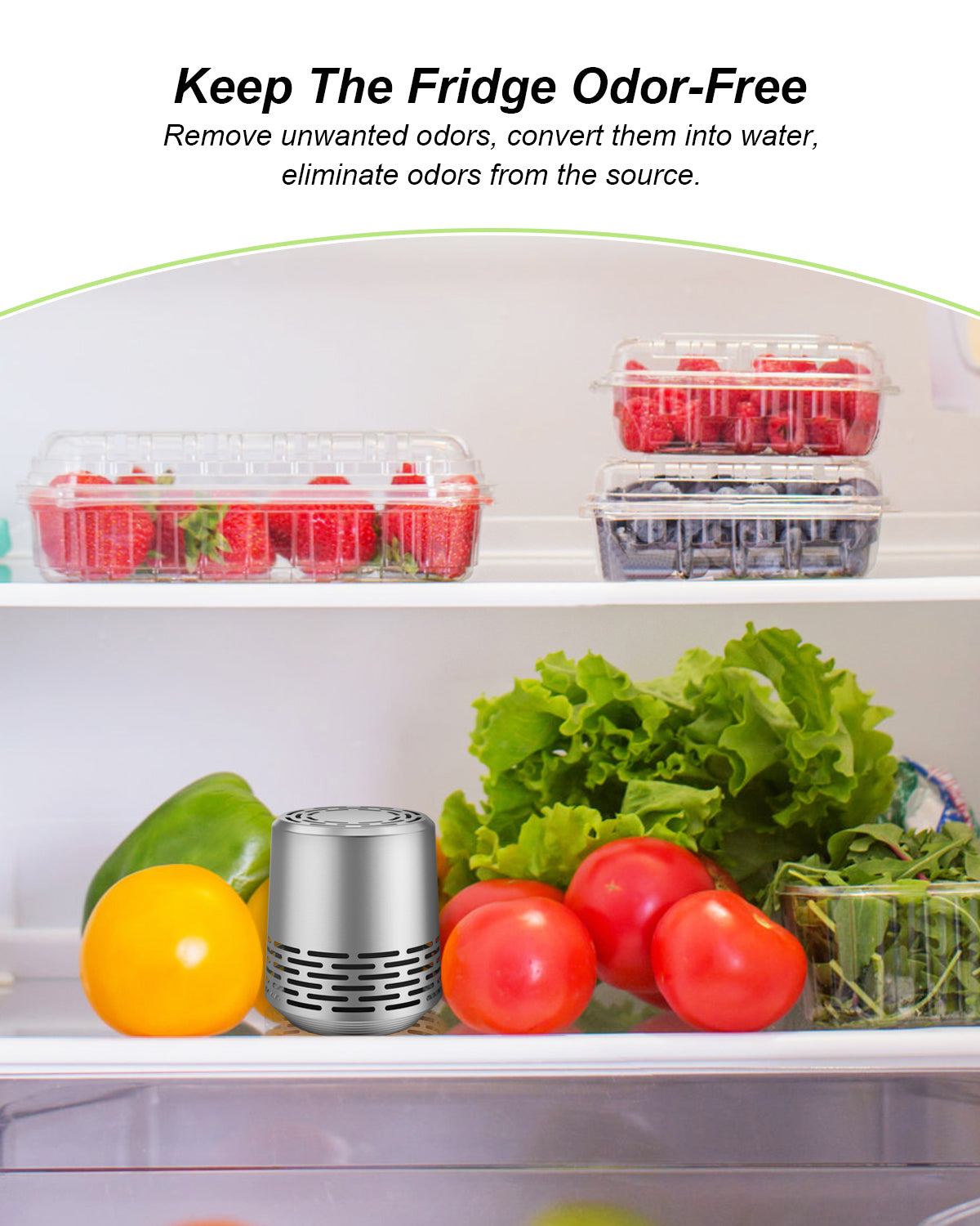 Refrigerator Deodorizer, Fridge Odor Eliminator Lasts for 10 Years – ONAMOR